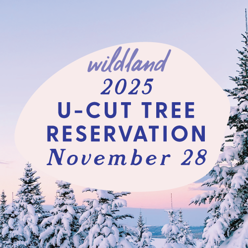 U-Cut Tree Reservation: Nov. 28th | Wildland Cooperative
